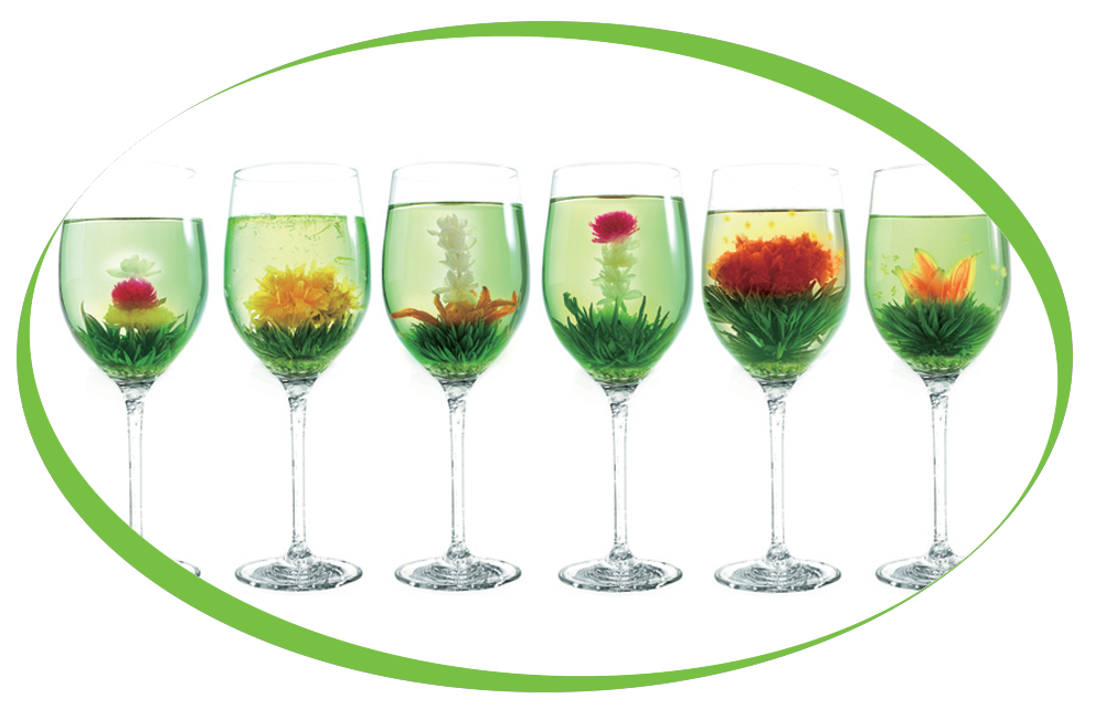 Exclusive Flora Tea Range - Simply Great Coffee